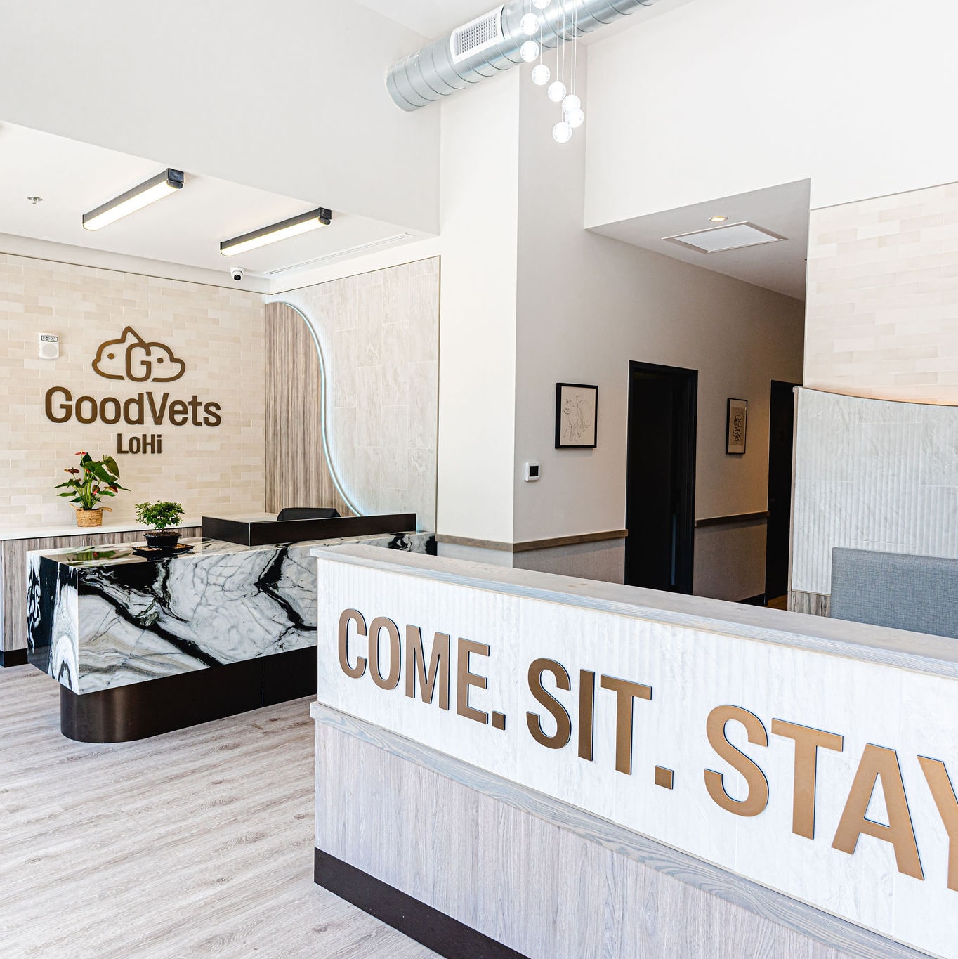 Hospital & Neighborhood Tours