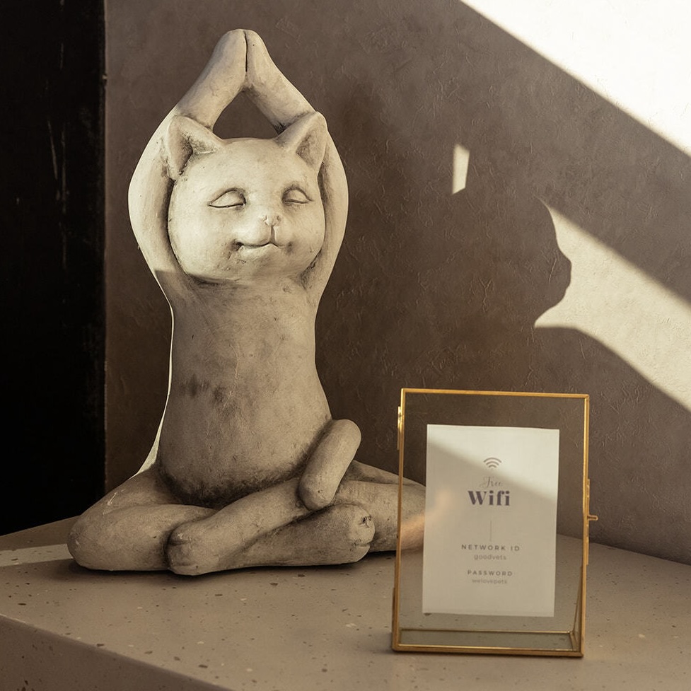 A vet reviewing patient notes in a cozy, well-lit clinic.